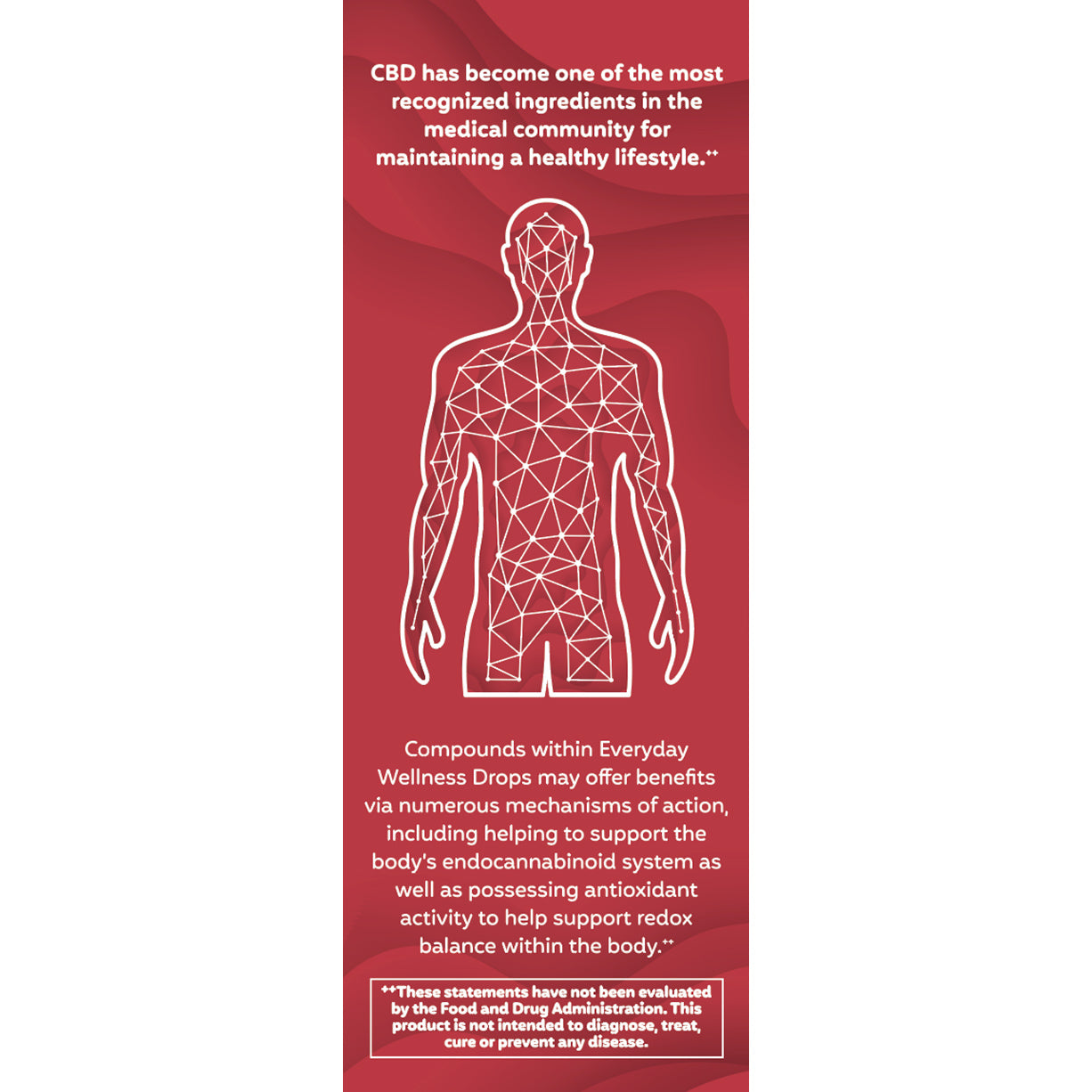 Everyday WELLNESS DROPS (Cinnamon Spice) – Health in Harmony